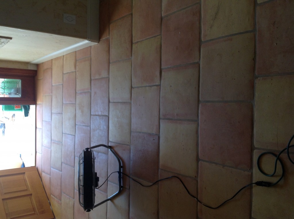 20 Years of Neglect Finally Caught Up To Your Super Saltillo Floor ...