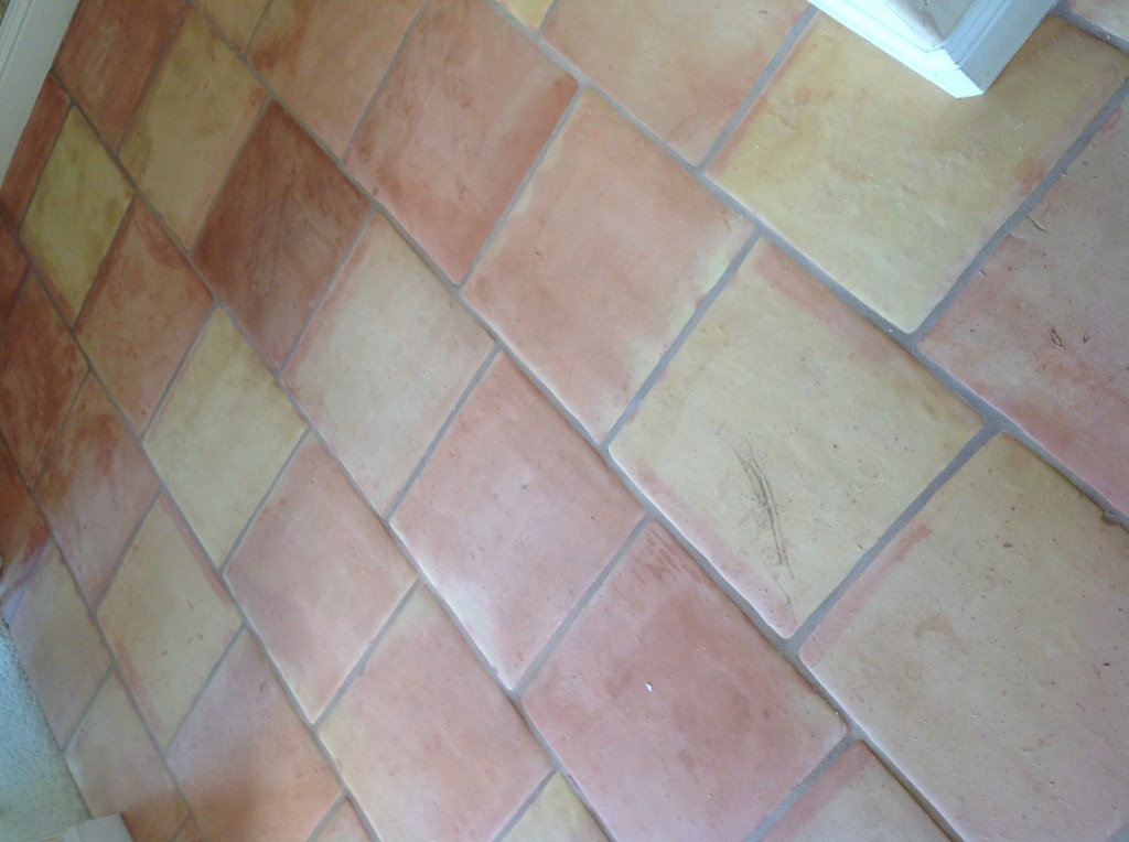20 Years of Neglect Finally Caught Up To Your Super Saltillo Floor ...